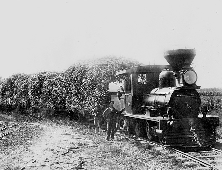 Sweet rides: Queensland’s sugar cane trains